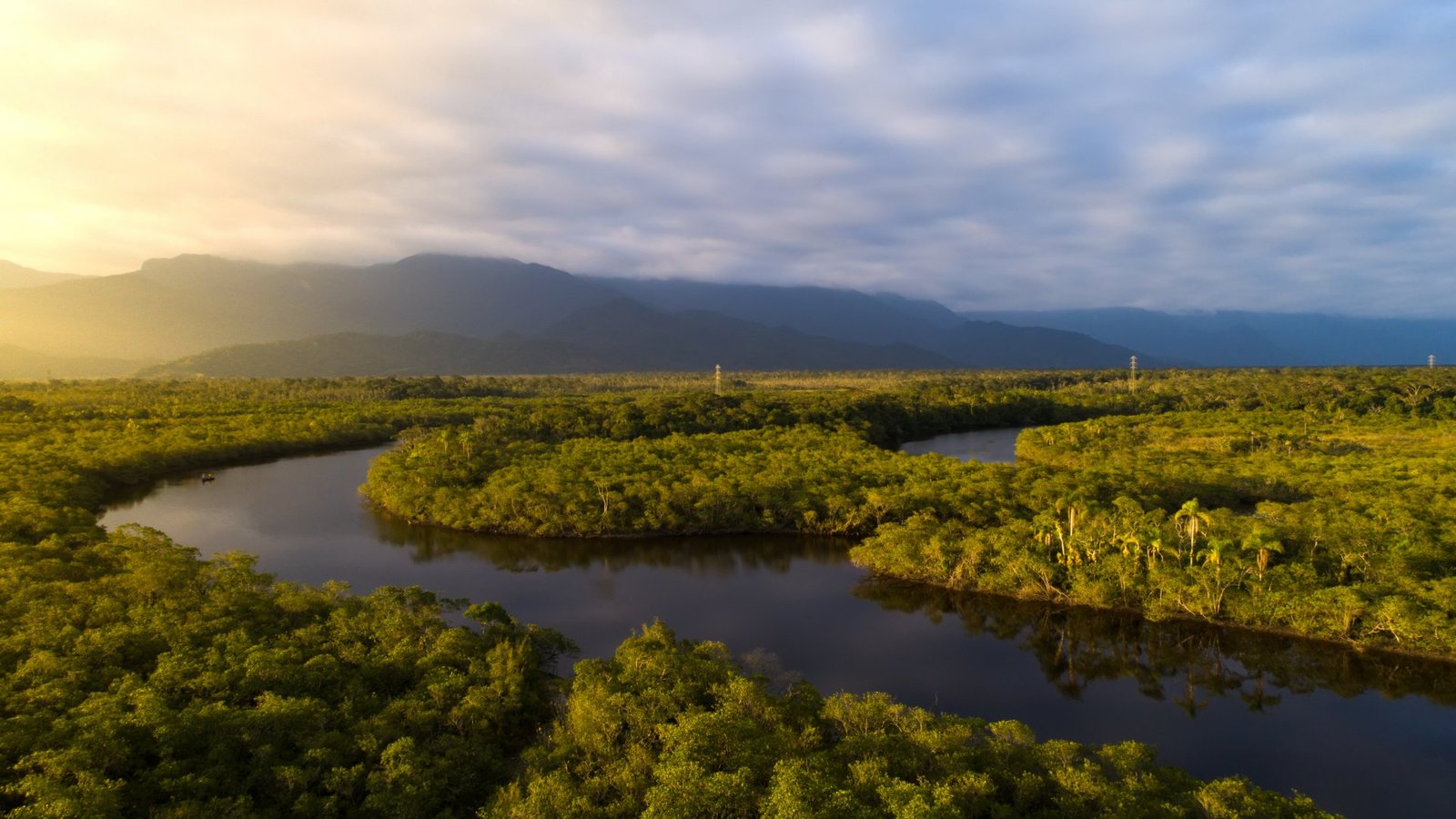 Terra Colombia's Commitment and Values | Terra Colombia, your local ...