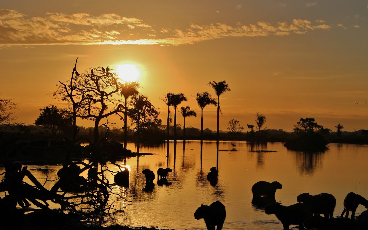 4 regions away from the tourist routes to visit Colombia off the beaten ...